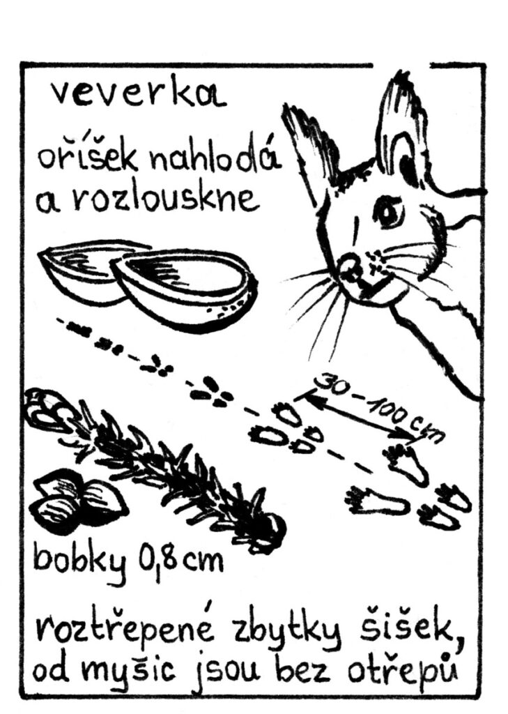 Stopy a začínající stopaři - Ostrov nápadů