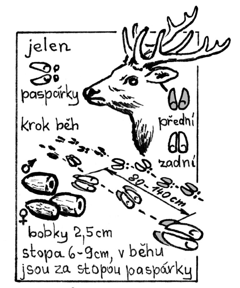 Další stopy pro začínající stopaře - Ostrov nápadů