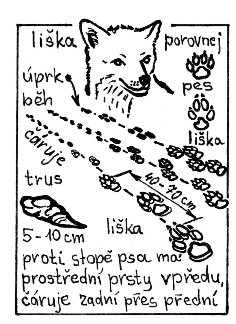Další stopy pro začínající stopaře - Ostrov nápadů